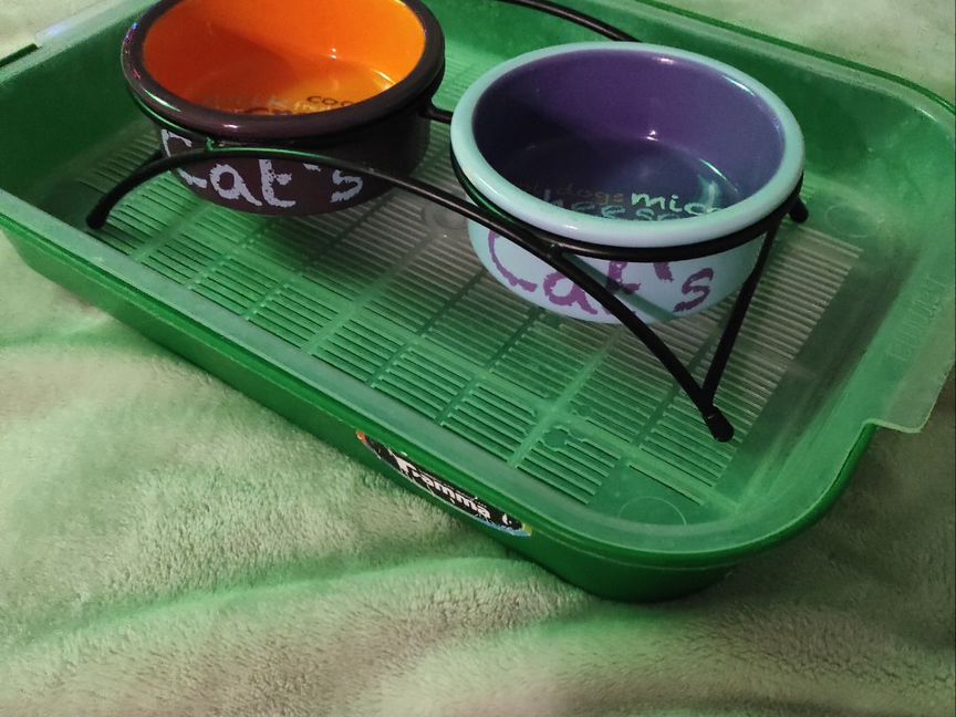 Лоток для кошек