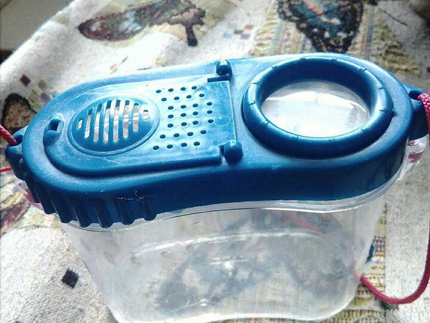 Переноска для мелких животных: птиц,хомяков,ящериц