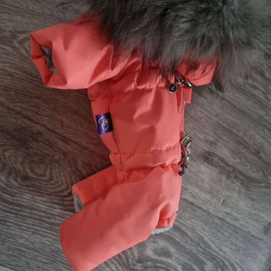 Одежда для собак