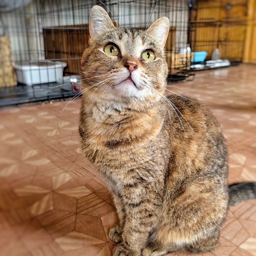 Настоящий боец по имени Груня