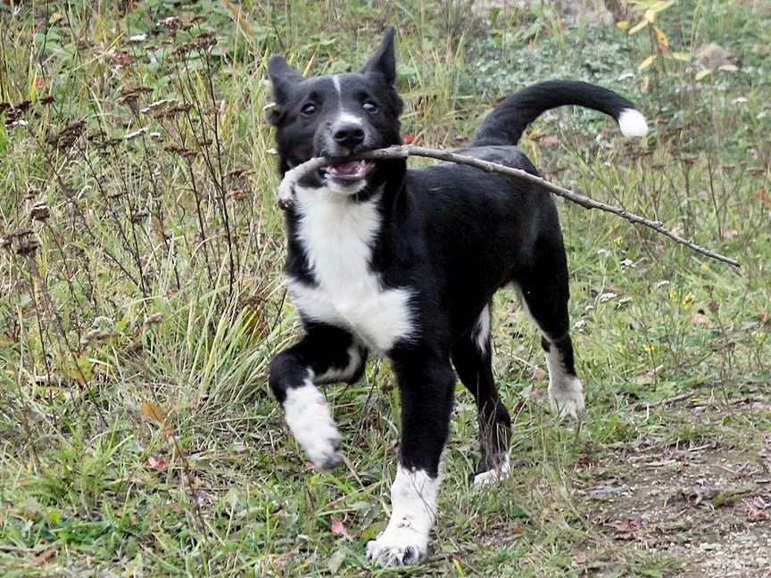 Пусть мама услышит, пусть мама придет