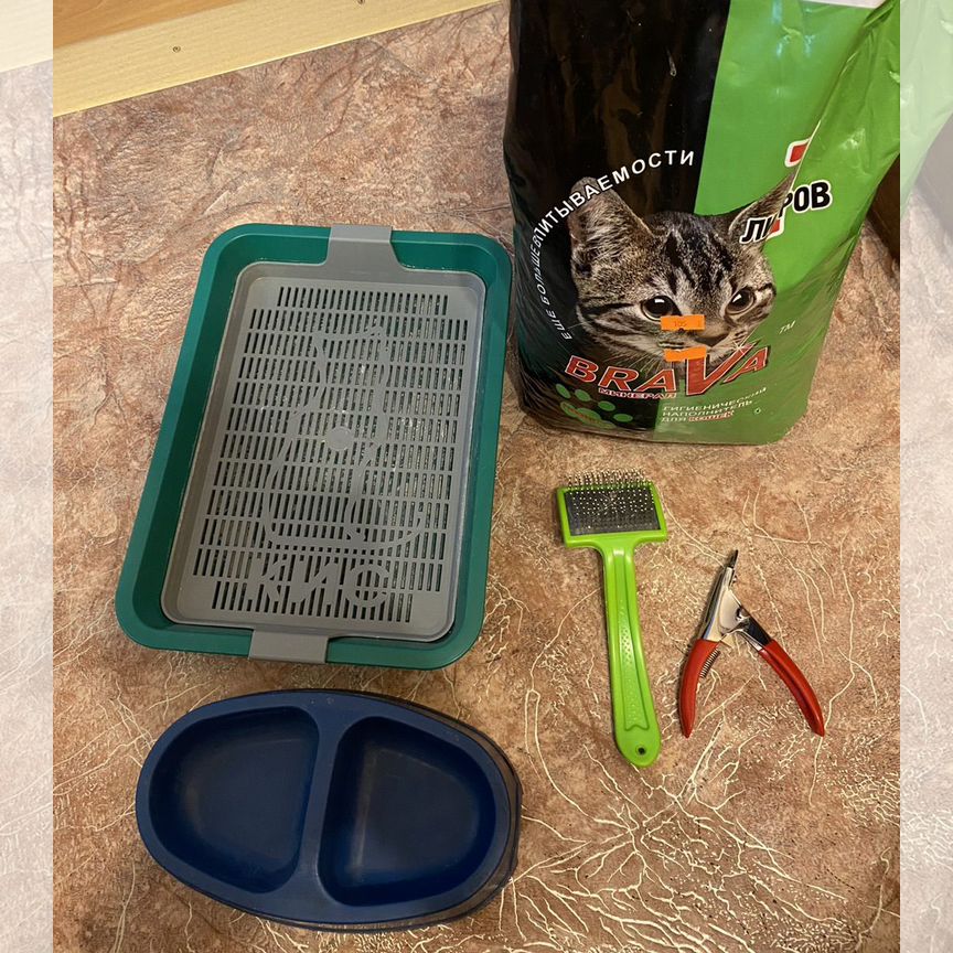 Лоток для кошек