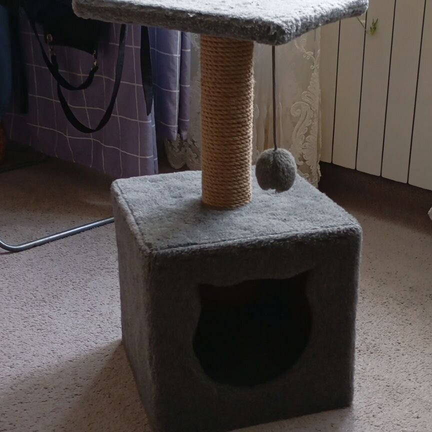 Когтеточка