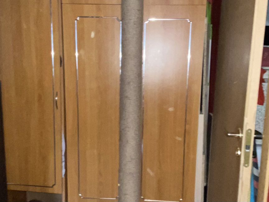 Когтеточка 2м