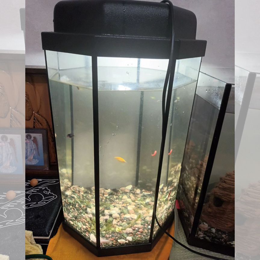 Аквариум шестигранный