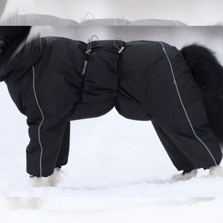 Зимний комбинезон для собаки бу