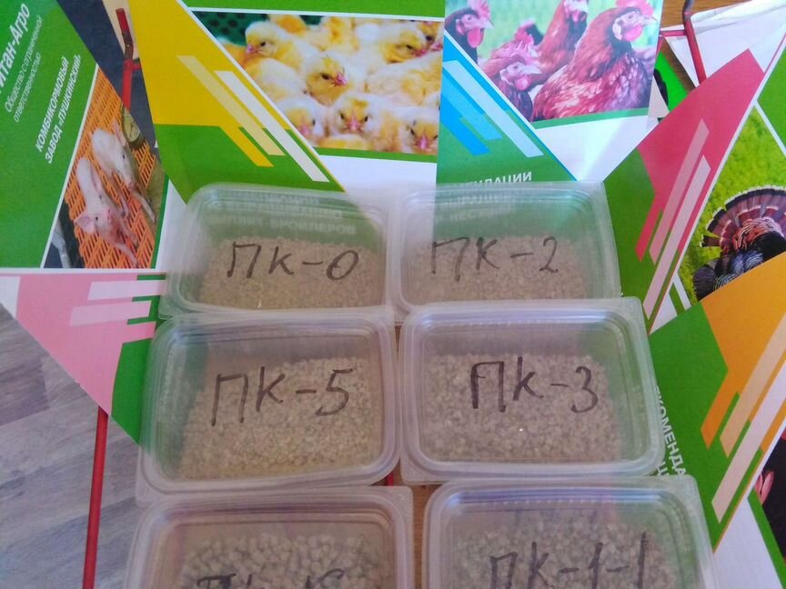 Продажа комбикорма