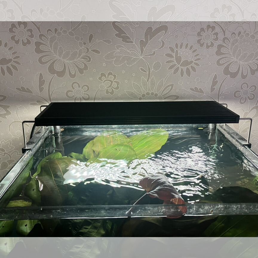 Chihiros wrgb pro II 45 см