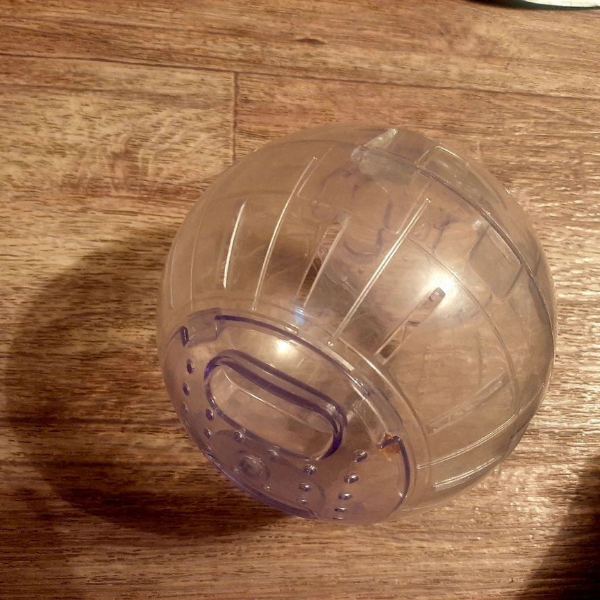 Шар для хомяка