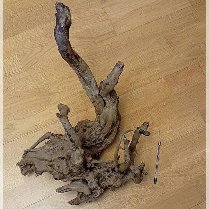 Коряга в аквариум мангровая