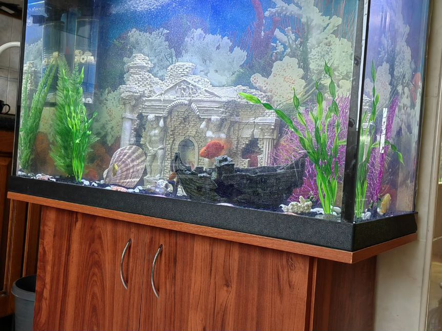 Аквариум 200 литров