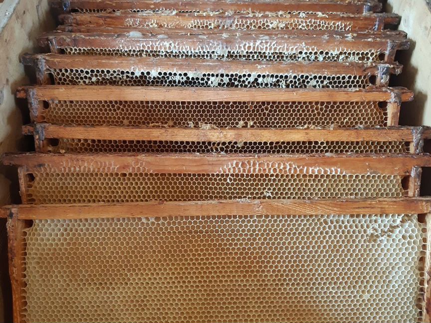 Рамки пчеловодные. Сушь на 130