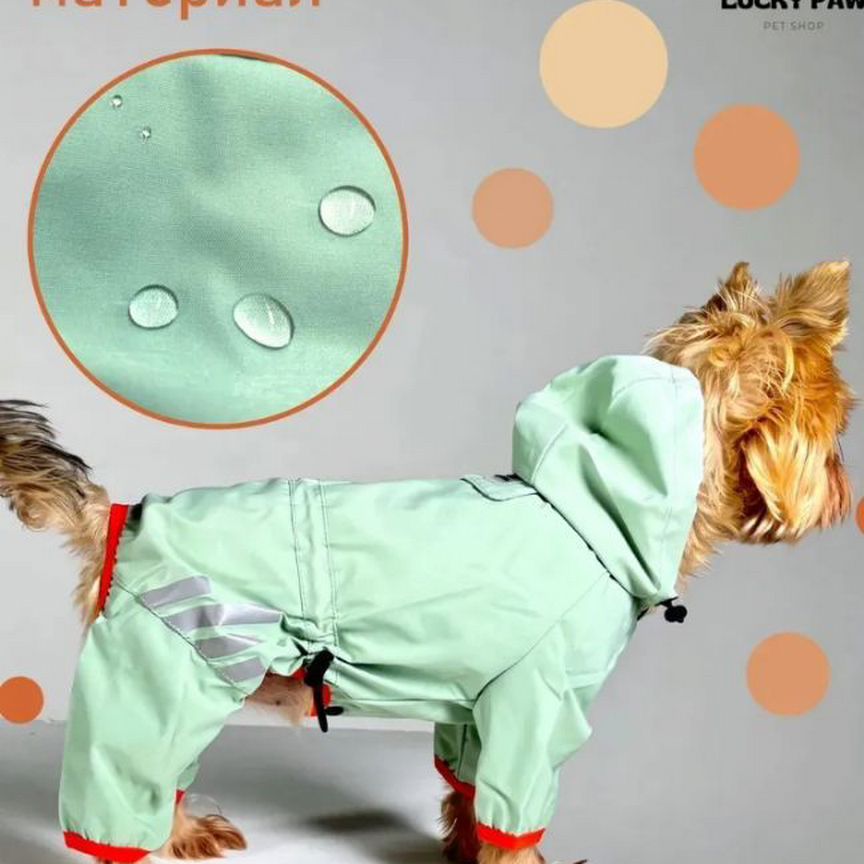 Дождевик для собаки мелкой породы