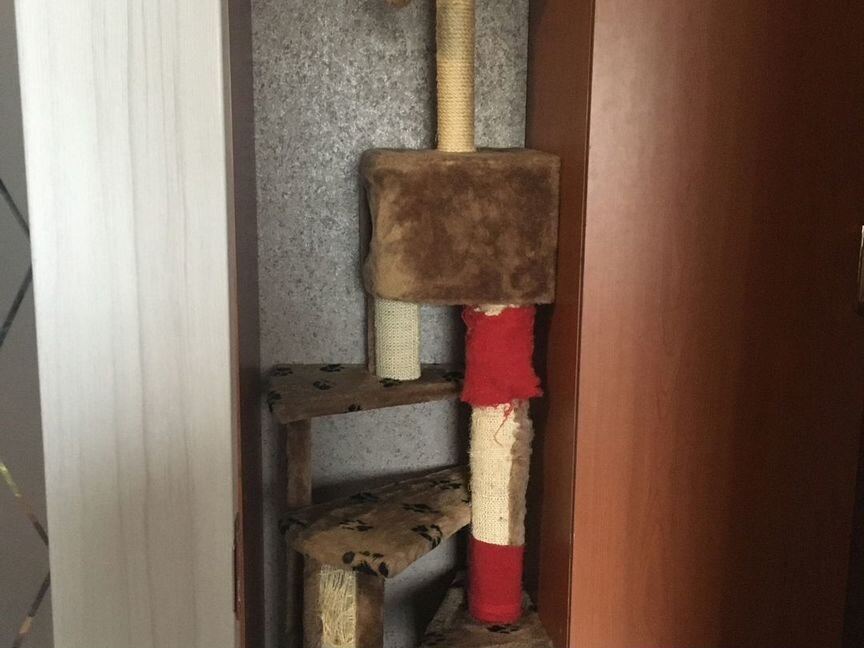 Лазалка когтеточка