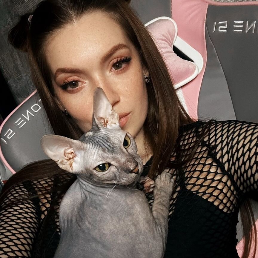 Сфинкс в добрые руки