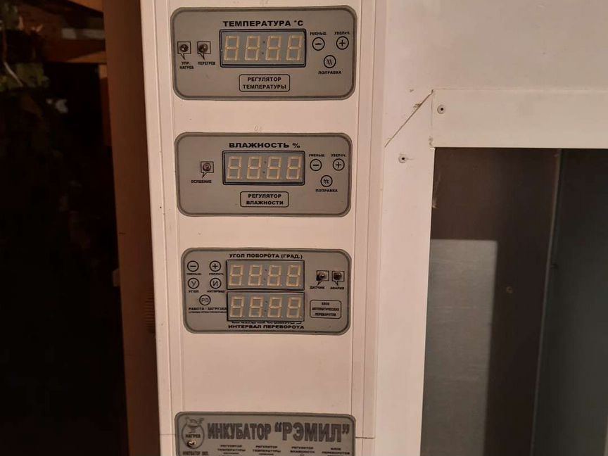 Инкубатор рэмил 1000