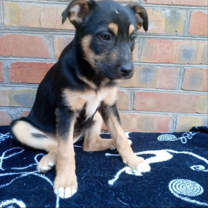 Малышка с ангелочком на грудке