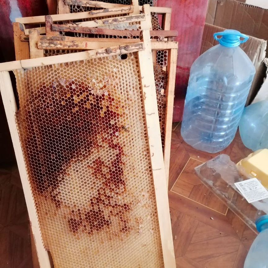 Сушь для пчел рутт