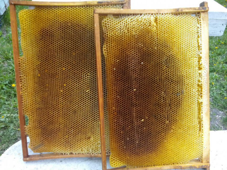 Рамки гнездовые