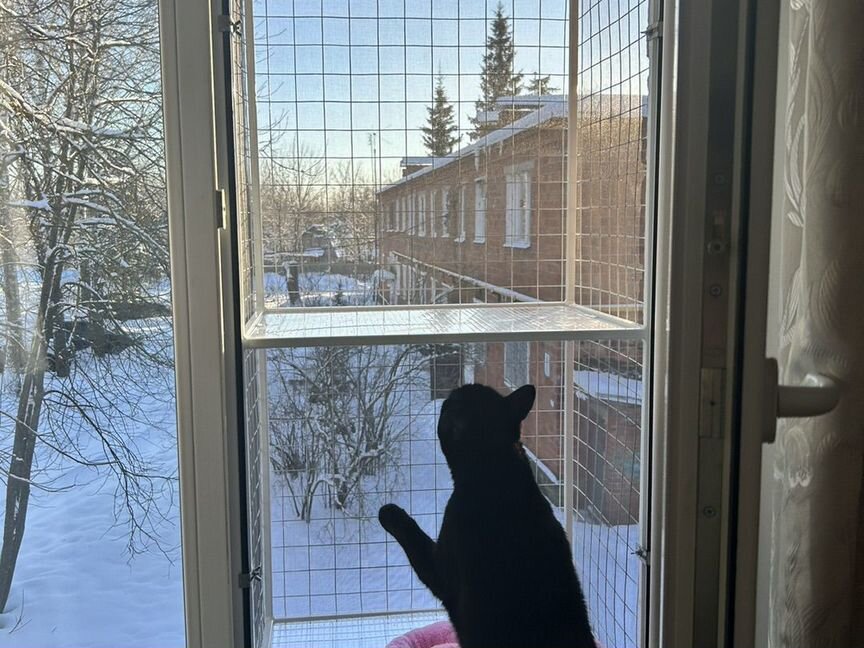 Балкон для кота, выгул для кошки на окно