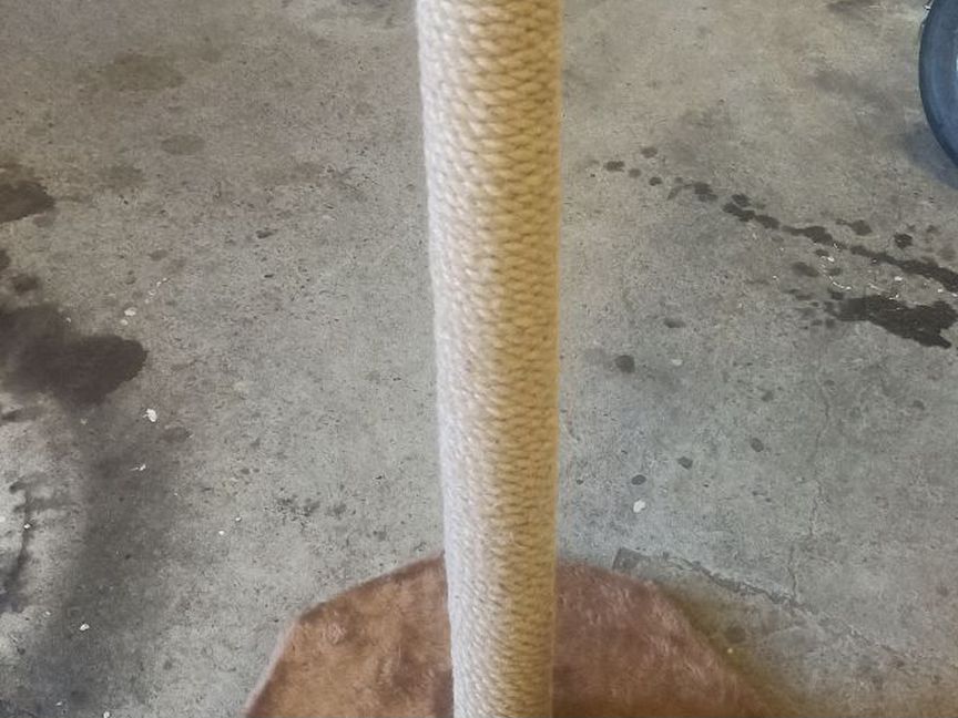 Когтеточка