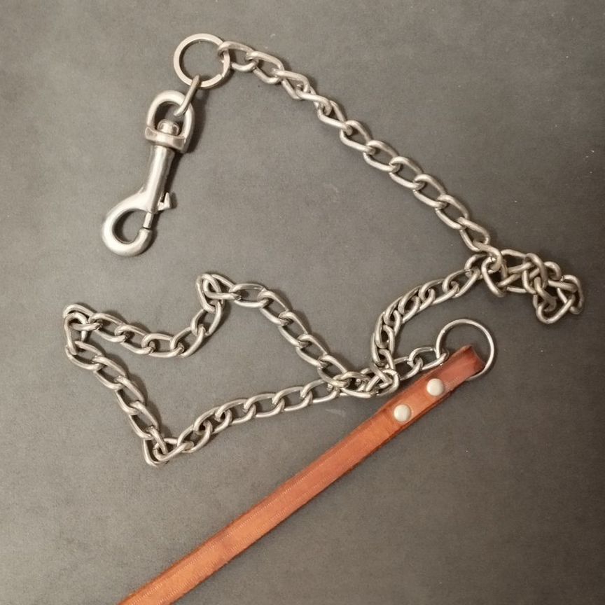 Поводок для крупных собак