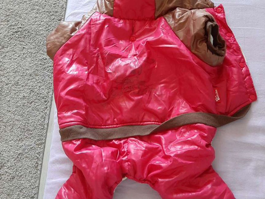 Одежда для средних собак