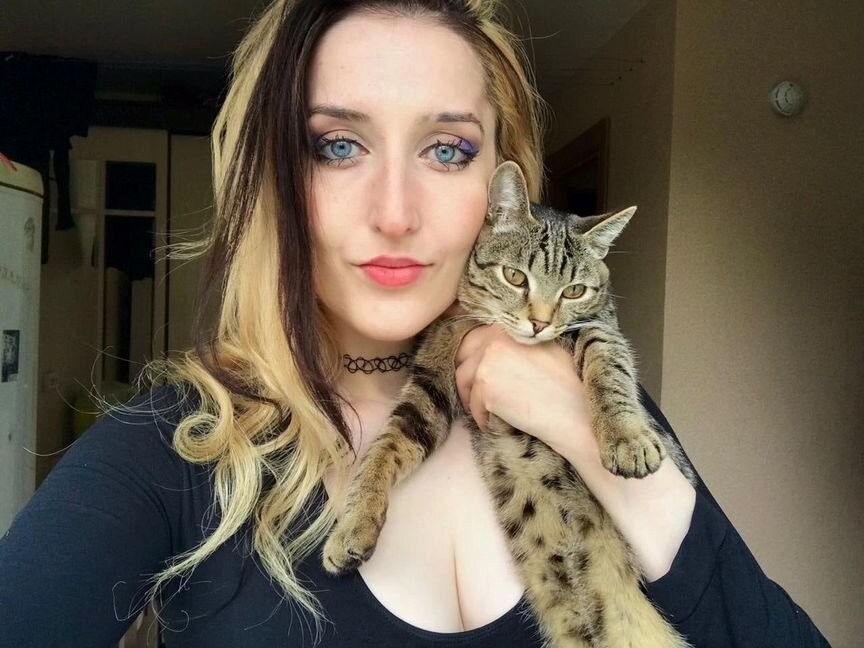 Отдам В добрые руки молодую кошечку 9 месяцев