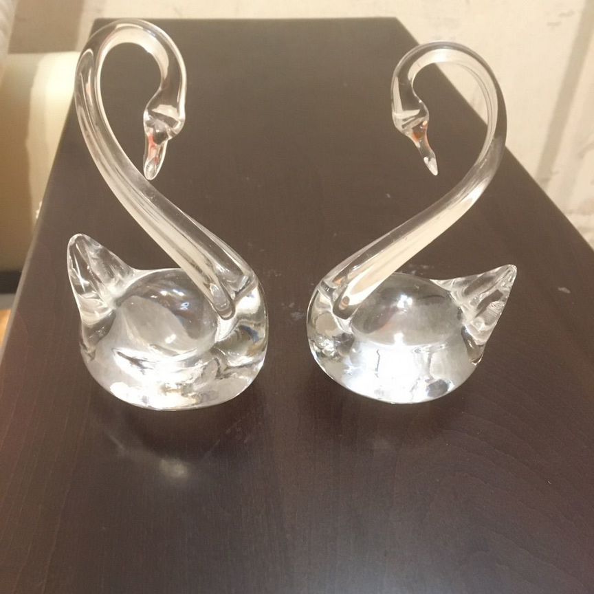 2 влюблённых лебедя