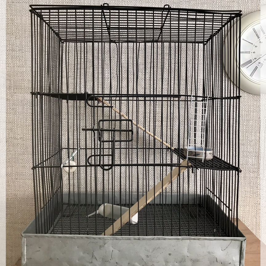 Клетка для шиншиллы, крыс, собачки, кошки, кролика