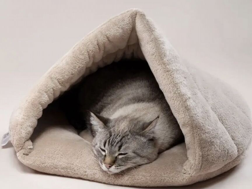 Новая норка для кошек или маленьких собак