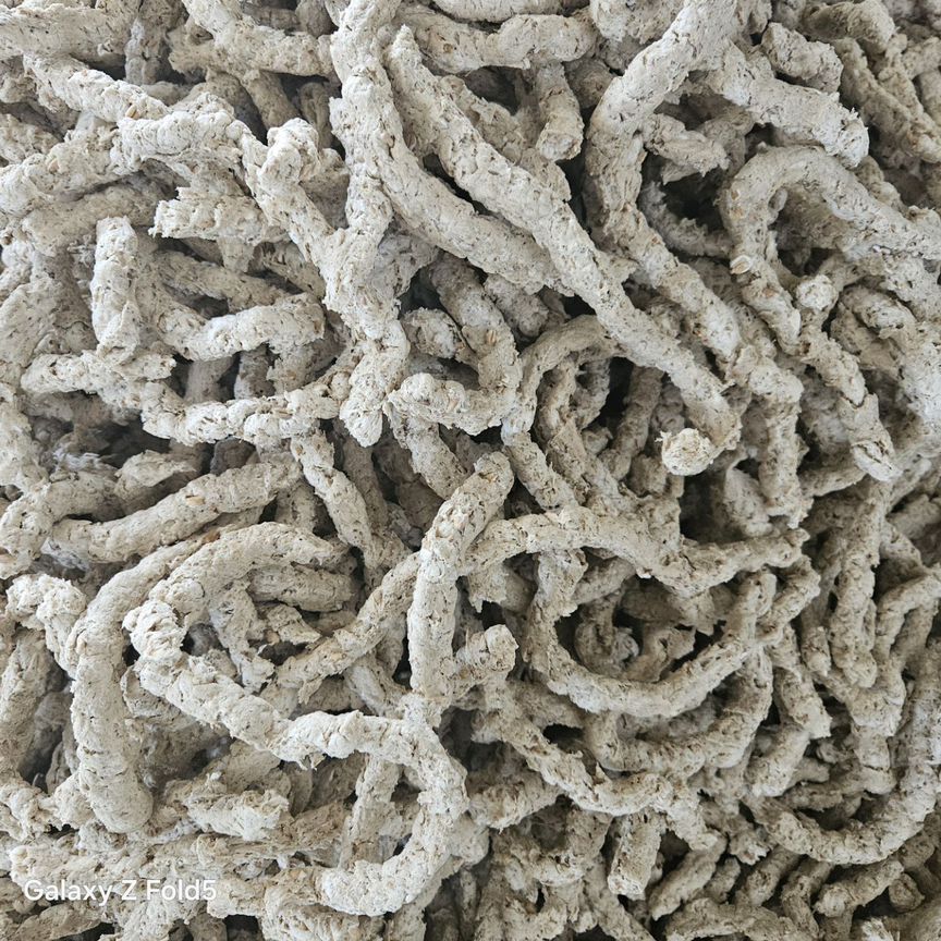 Экструдированная пшеница