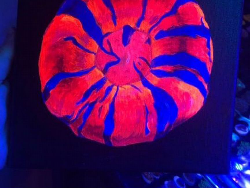 Картина для морского аквариума