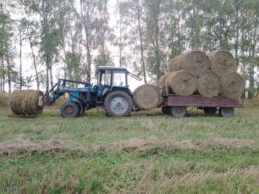 Солома