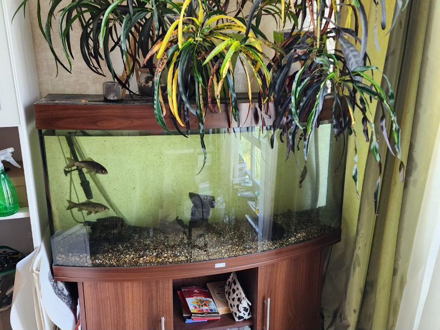 Аквариум с тумбой Juwel Vision