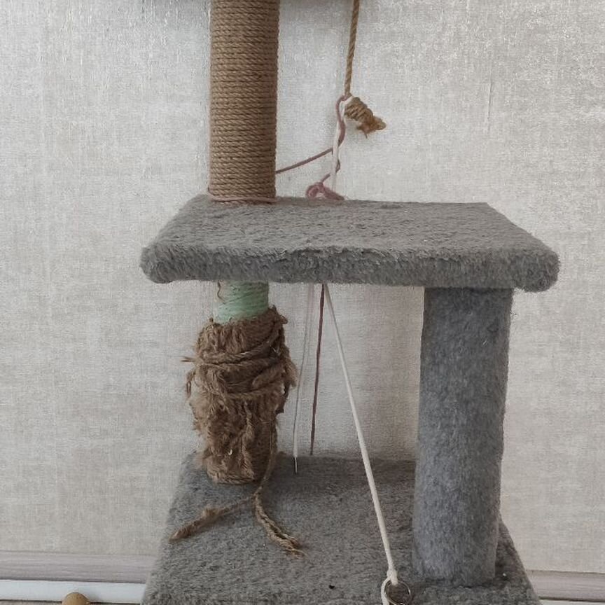 Когтеточка