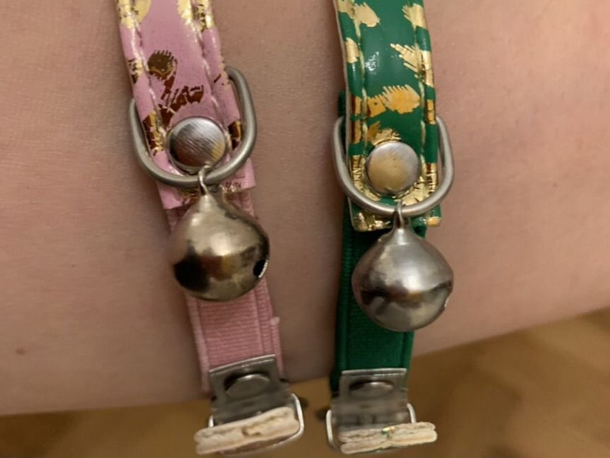 Ошейник доя кошек