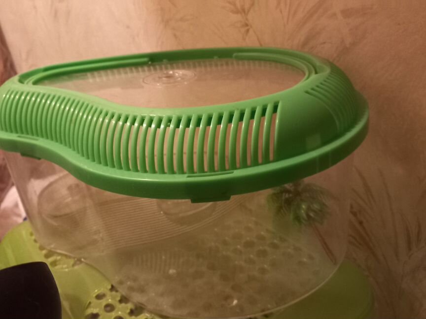 Контейнер для черепашек