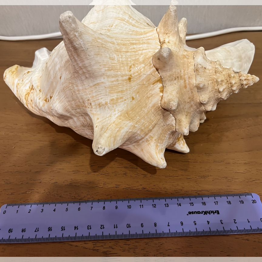 Кресло ракушка бу