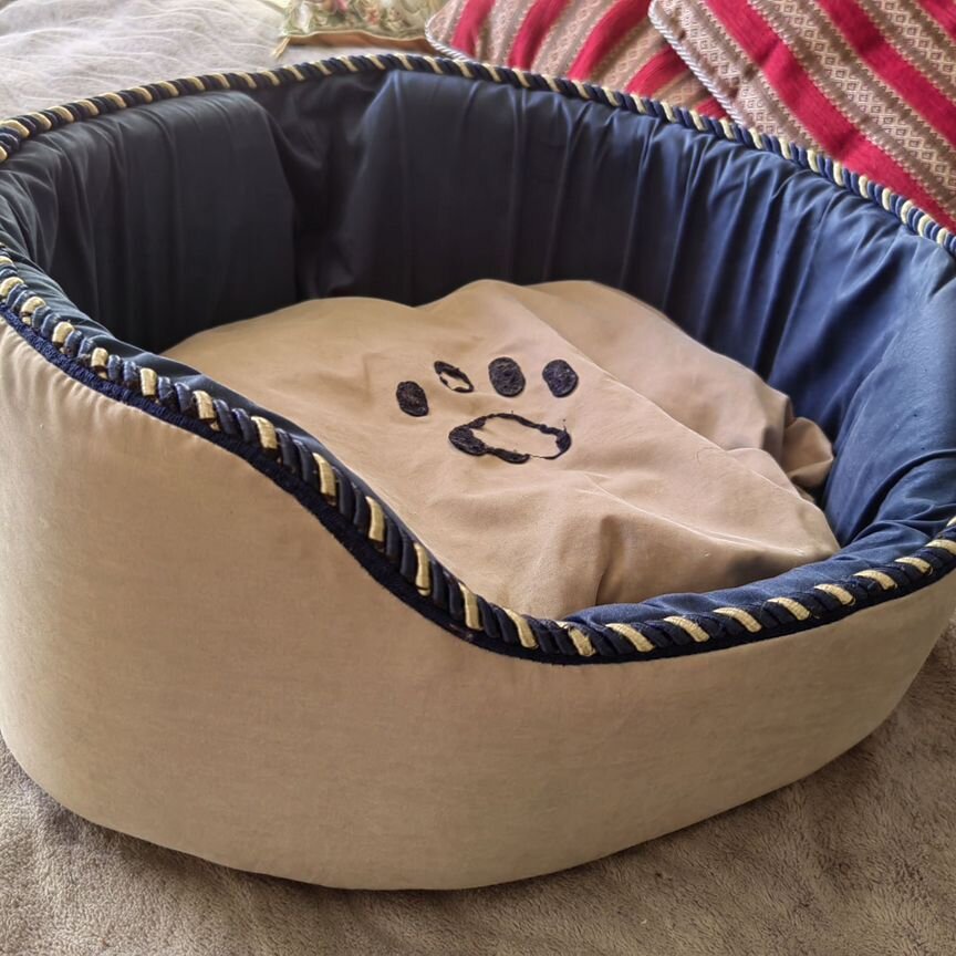 Лежанка для животных бу