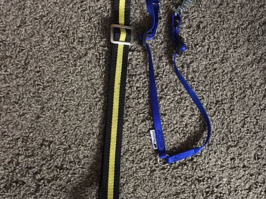 Поводок для фиксации собаки в автомобиле и сворка