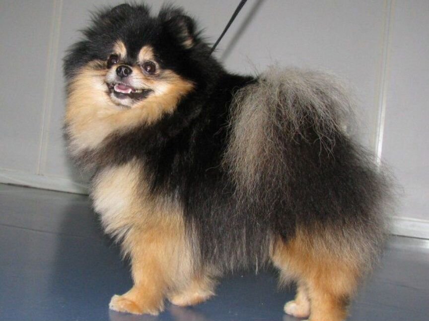 Милый мальчишка