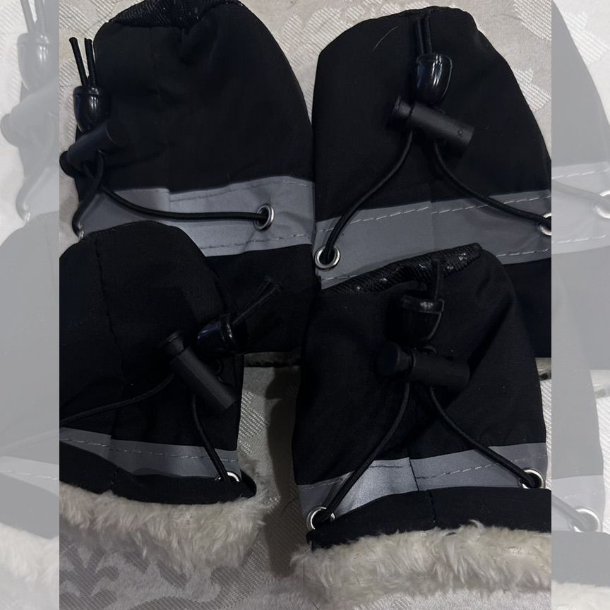 Обувь для собак