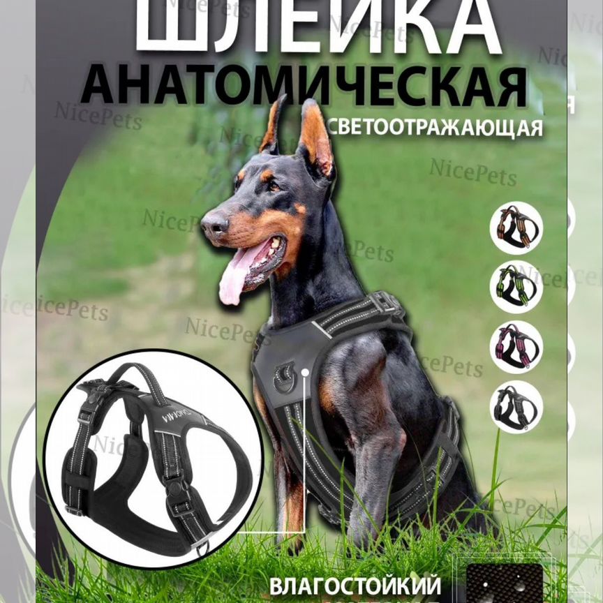 Анатомическая шлейка для собак