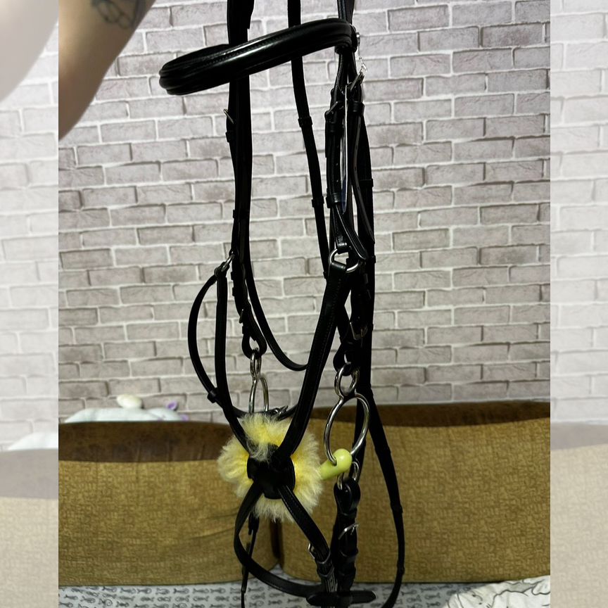 Уздечка мексиканская