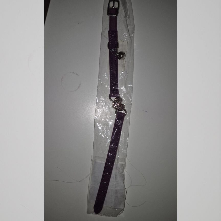 Ошейник для маленькой собаки