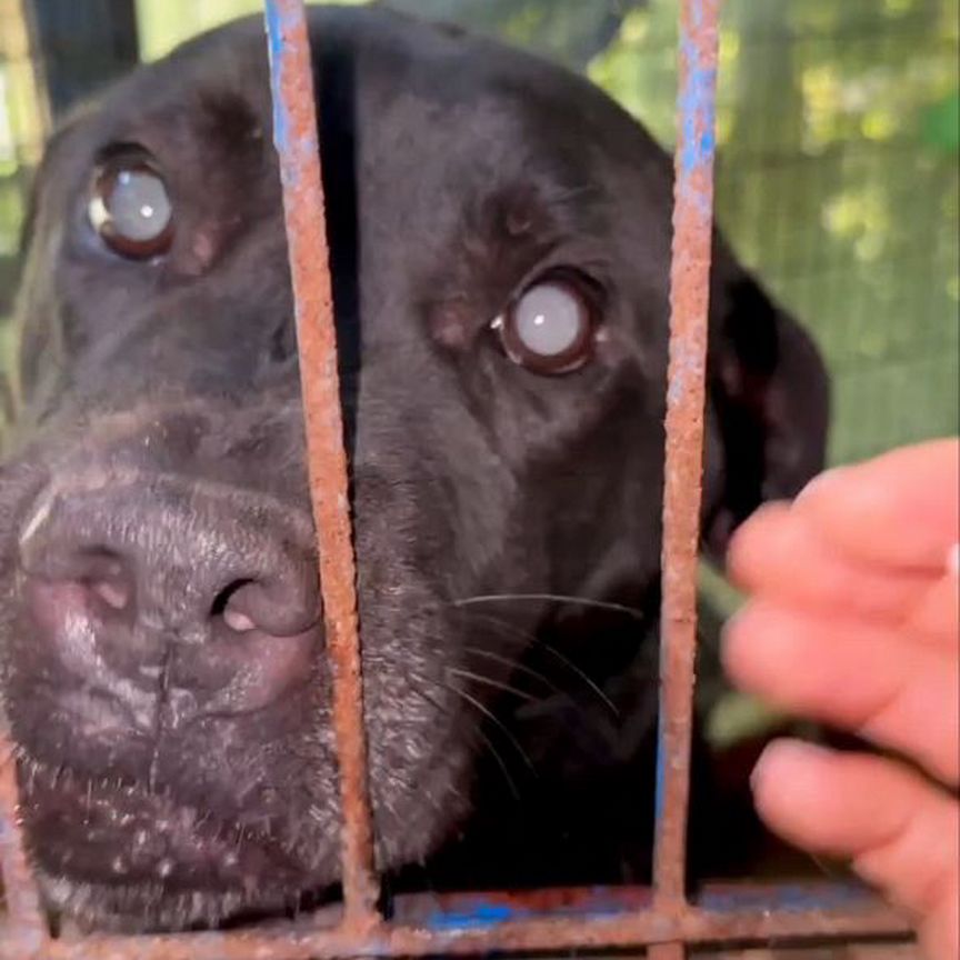 Эрон ищет дом