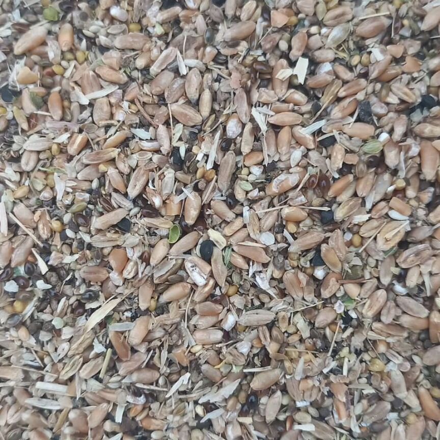 Зернодтходы пшеницы