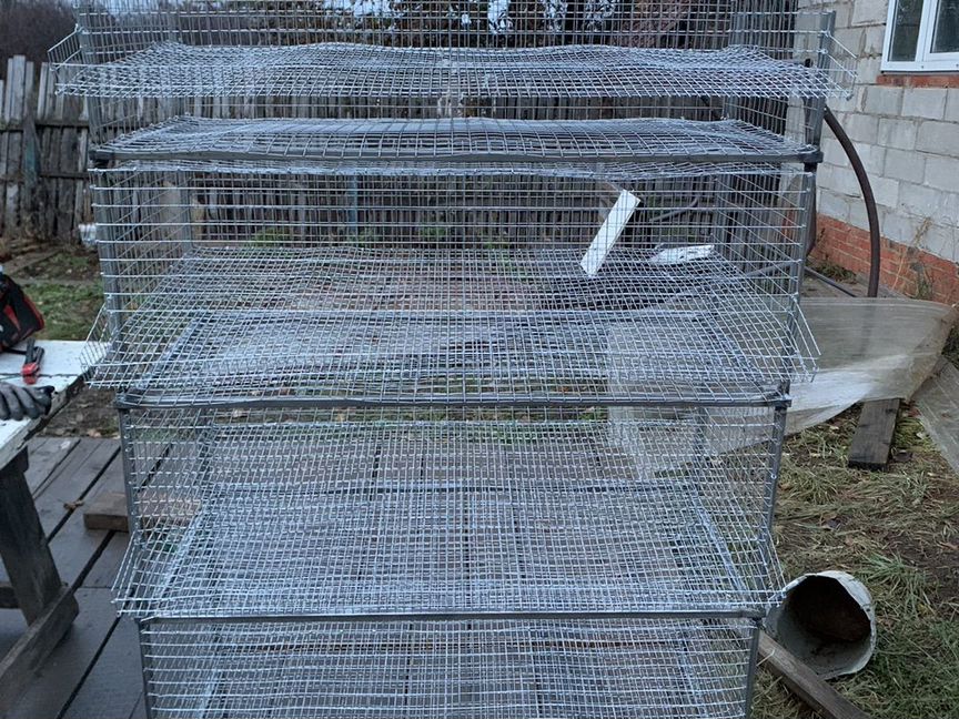 Изготовление клеток для перепелов, птиц