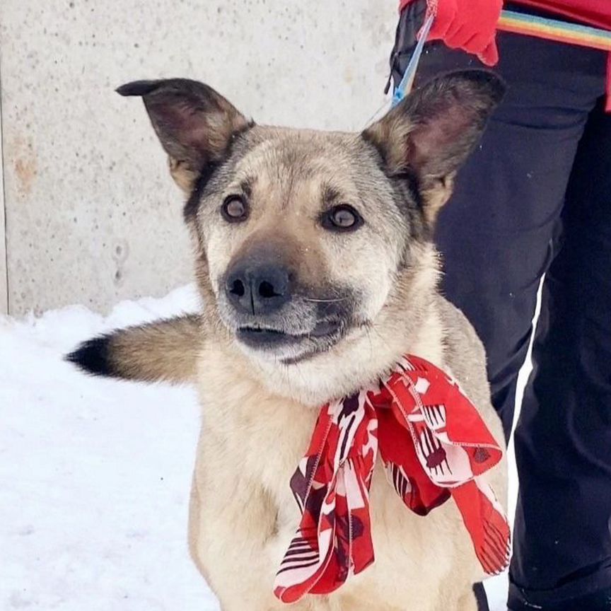 Возьмите Рину, вы не пожалеете